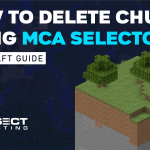 How to Delete Chunks using MCA Selector - BisectHosting Blog