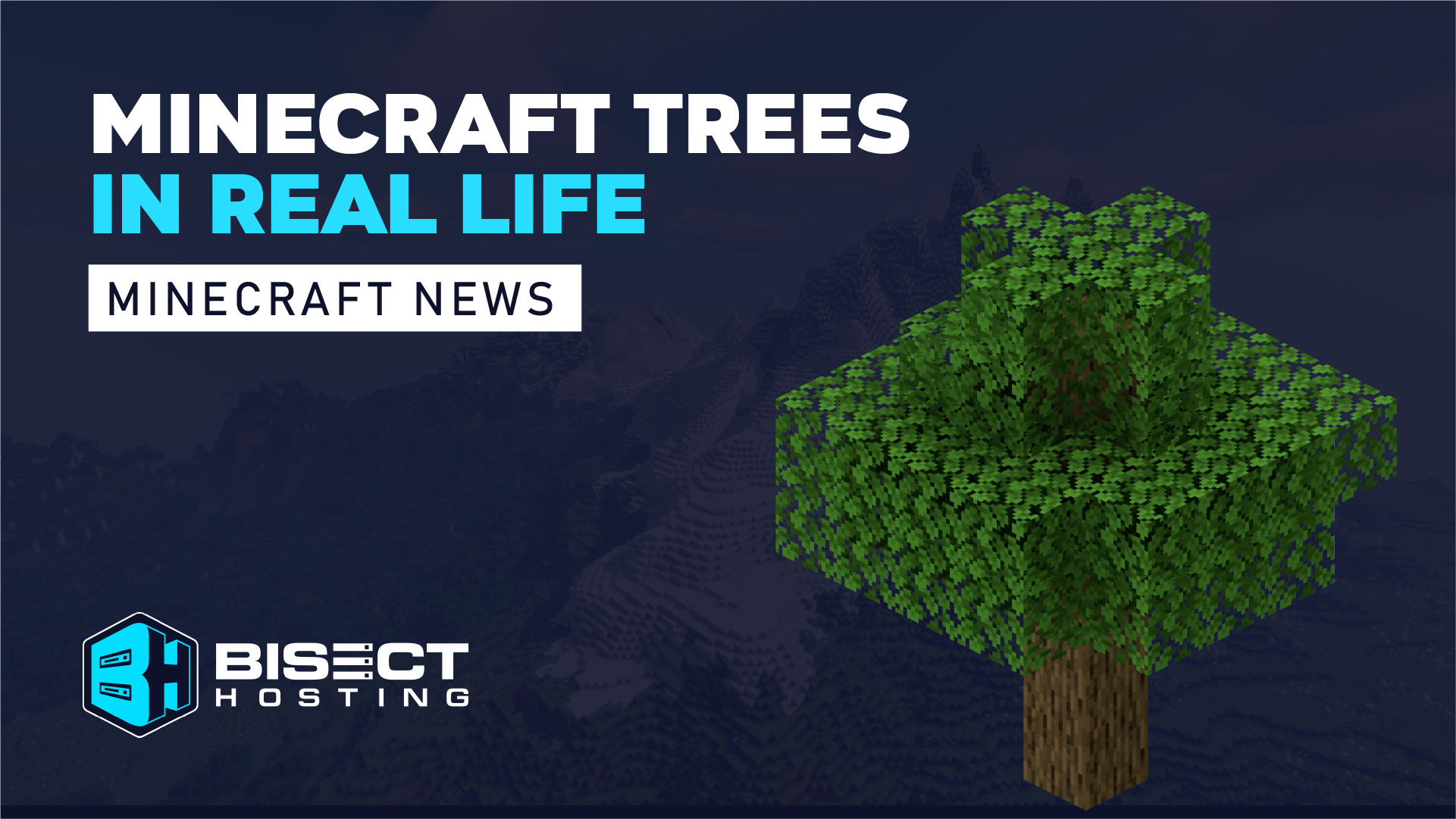 Minecraft Trees in Real Life - BisectHosting Blog